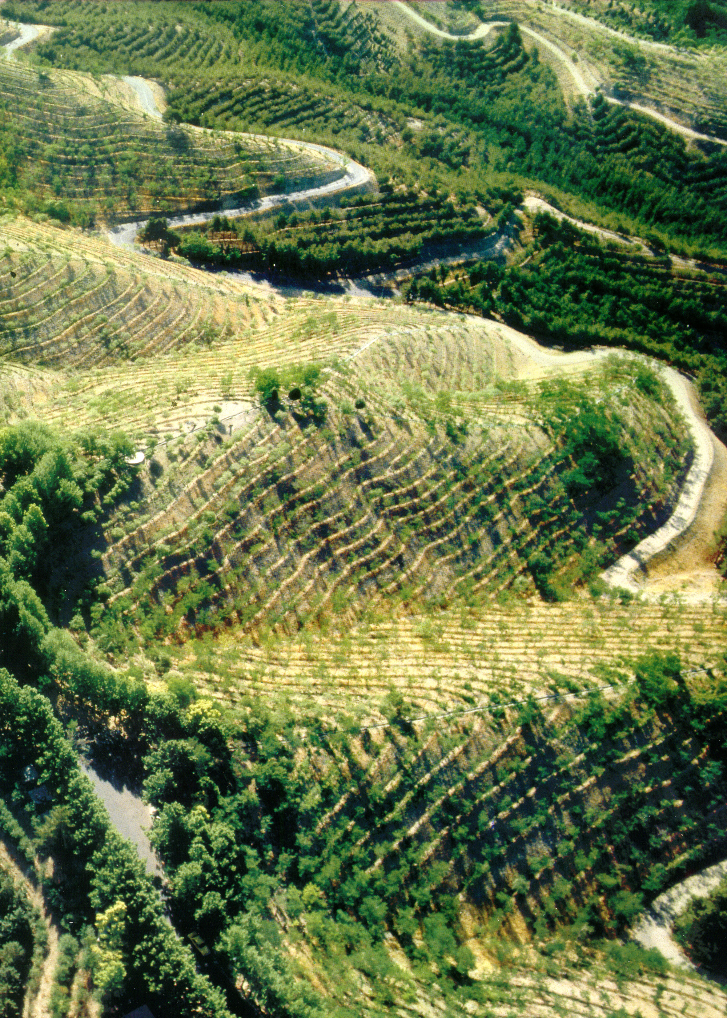 Sustainable Development of Tehran City Green Space | use: urban ...