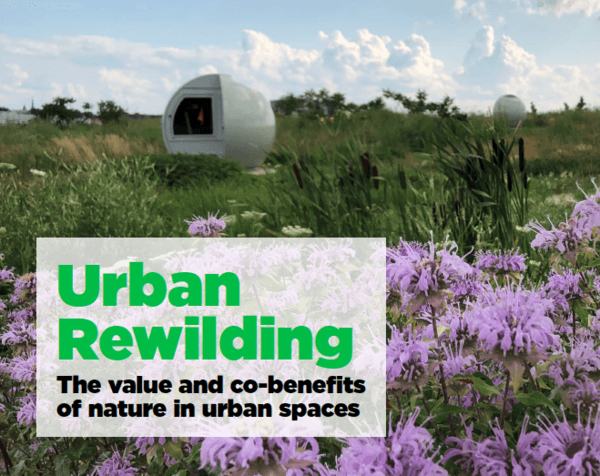 Urban Rewilding | use: urban sustainability exchange | Metropolis